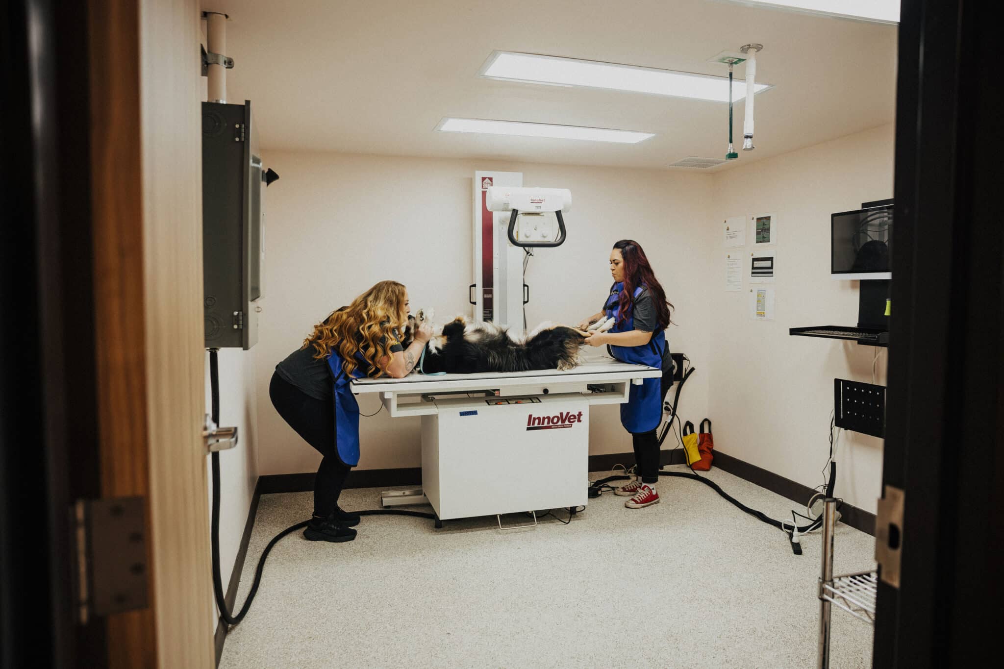 Home - Granite Veterinary Specialists